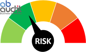 Capacité Appétence et Tolérance au Risque - AB Audit